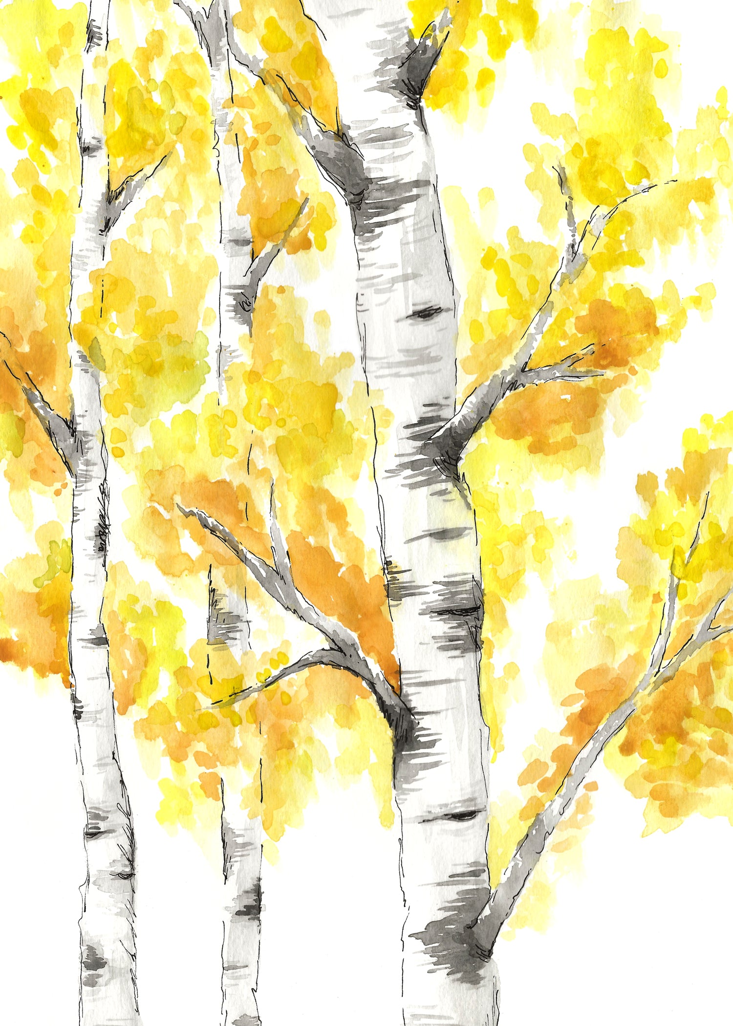 Aspen Trees – ColorsByMegan